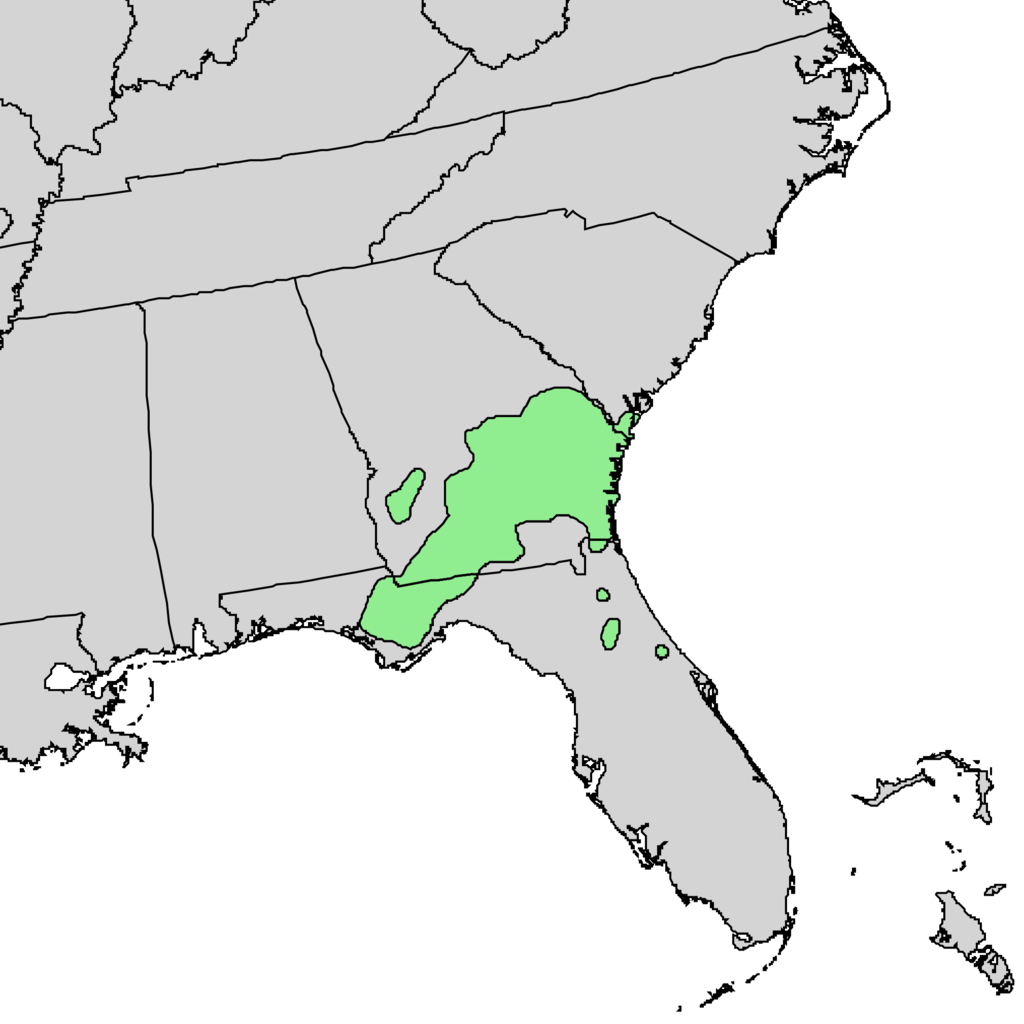 Bartram’s Fevertree Helps Pinpoint Fort Caroline Location?